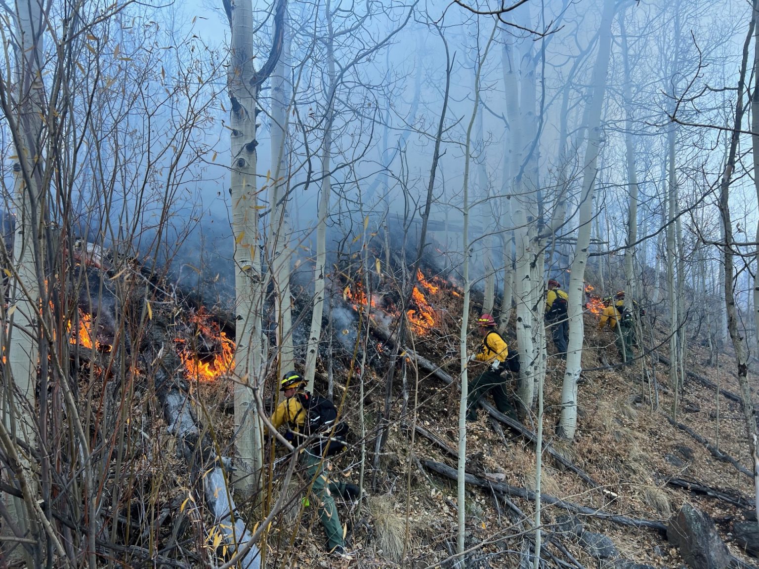 UPDATE: Meadow Creek Fire contained after sparking in Frisco near ...