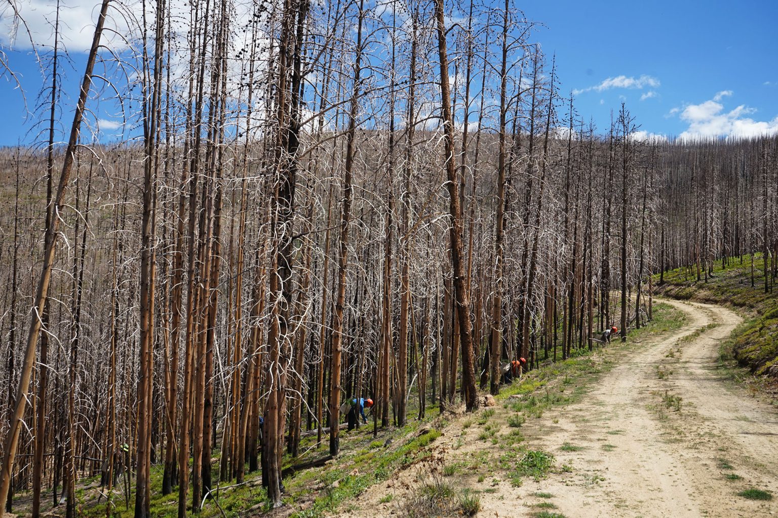 How the US Forest Service worked to restore the East Troublesome Fire ...