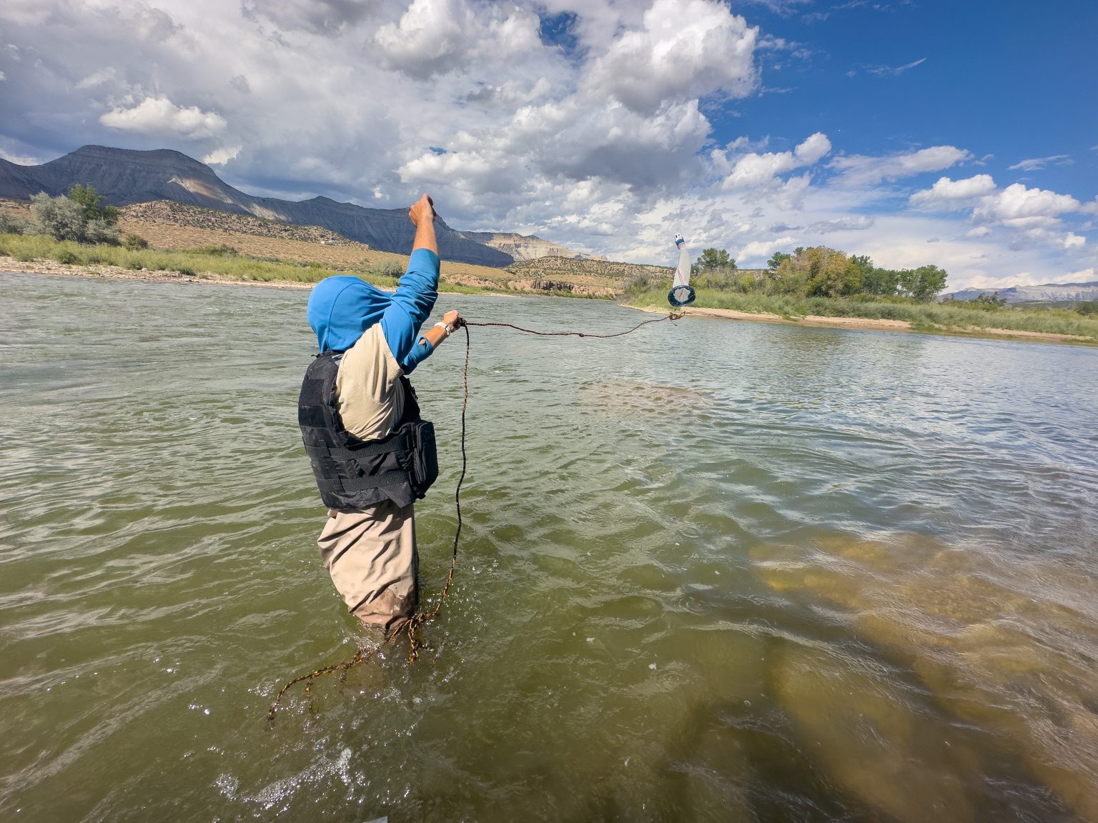 Colorado lawmakers take aim at zebra mussels and other invasive species ...
