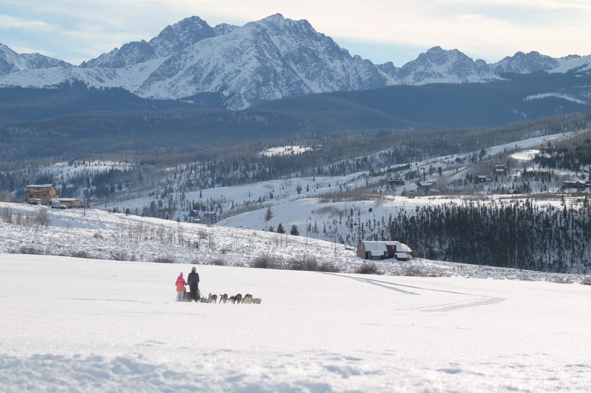 6-time Iditarod champion opens new private dog sledding adventure ...