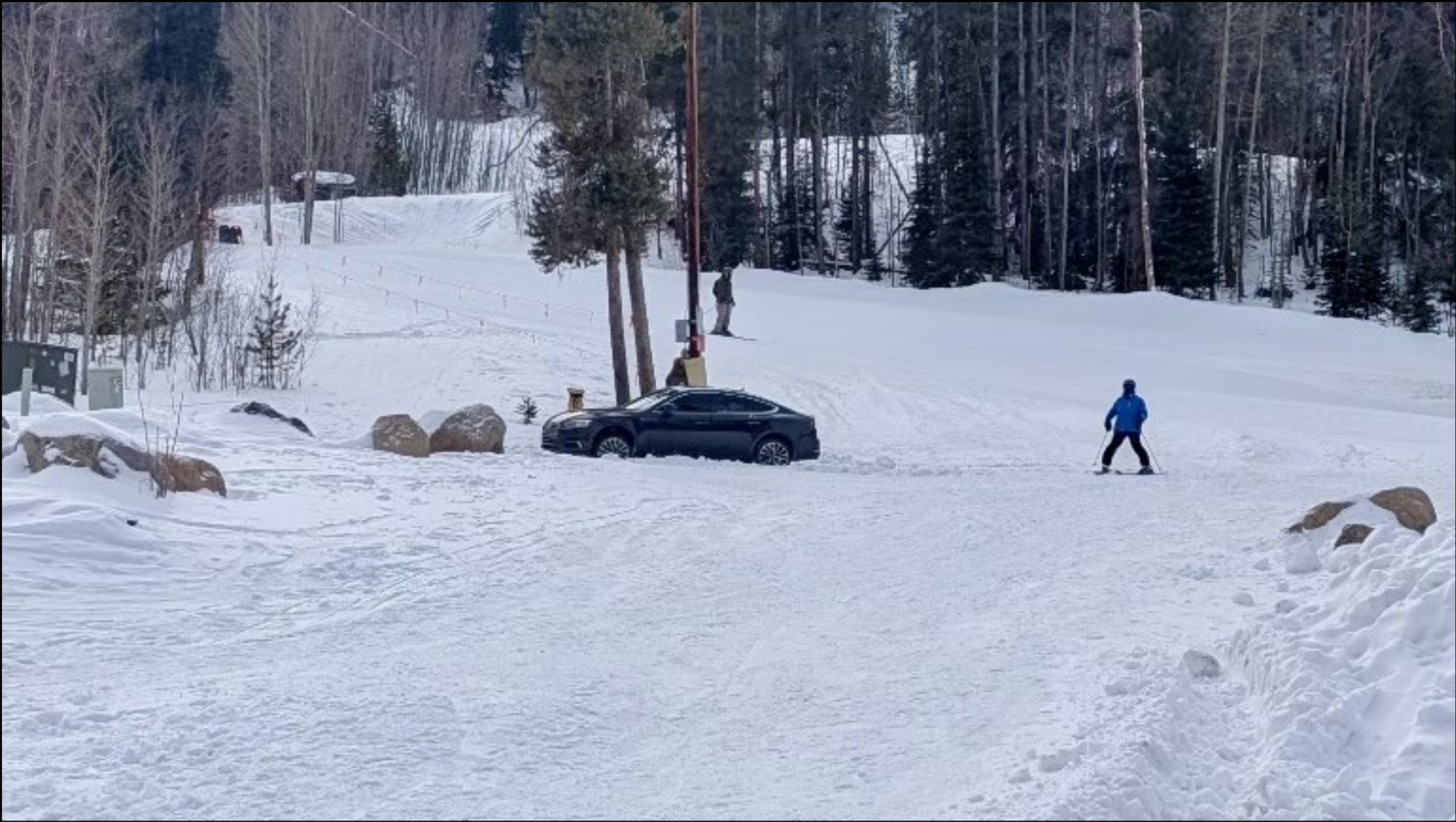 This week in history: Driver parks on ski run, dinosaur breaks window ...