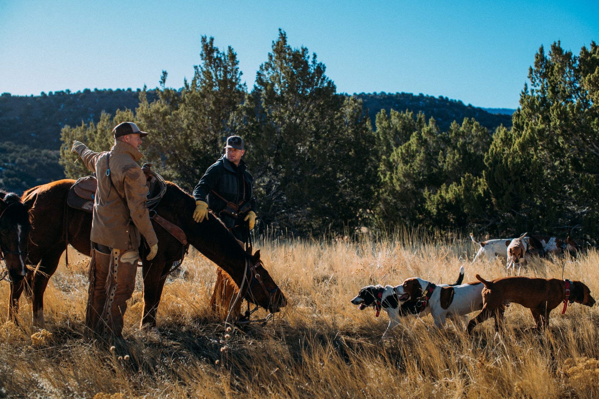 ‘We cannot legislate morals:’ Colorado Parks and Wildlife stands firm ...