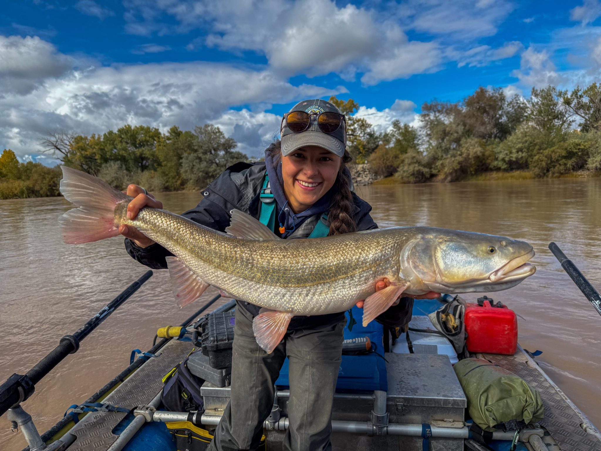Colorado biologists caught 3 rare Colorado fish. What does that mean ...