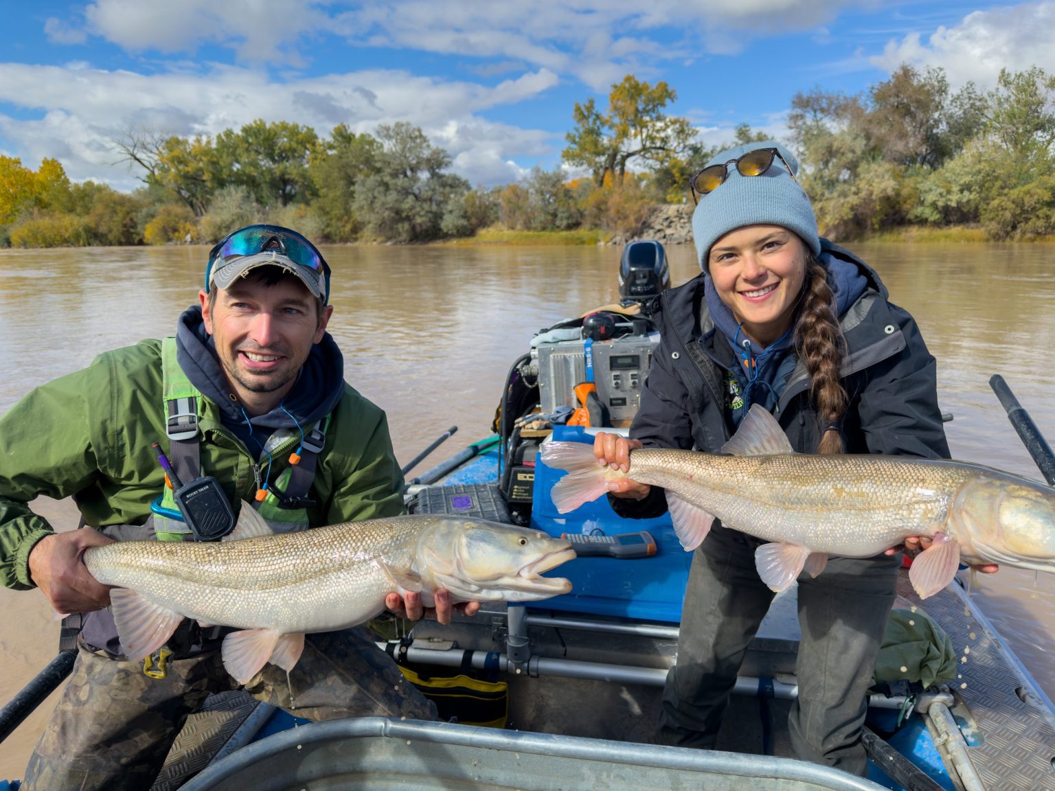 Colorado biologists caught 3 rare Colorado fish. What does that mean ...