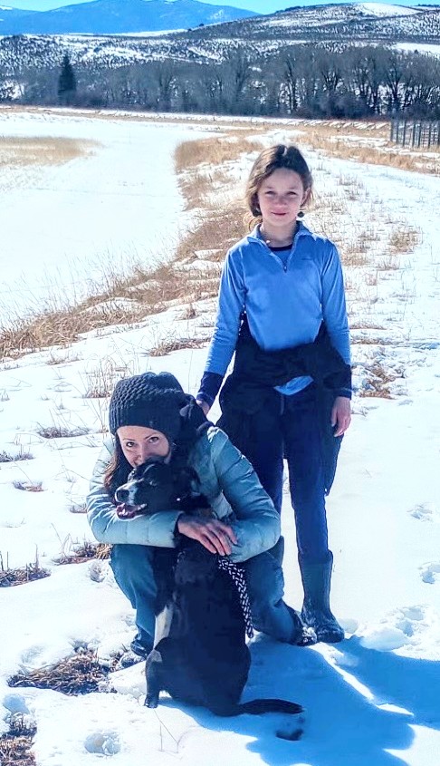 Kremmling community steps up to help find dog after car crash ...