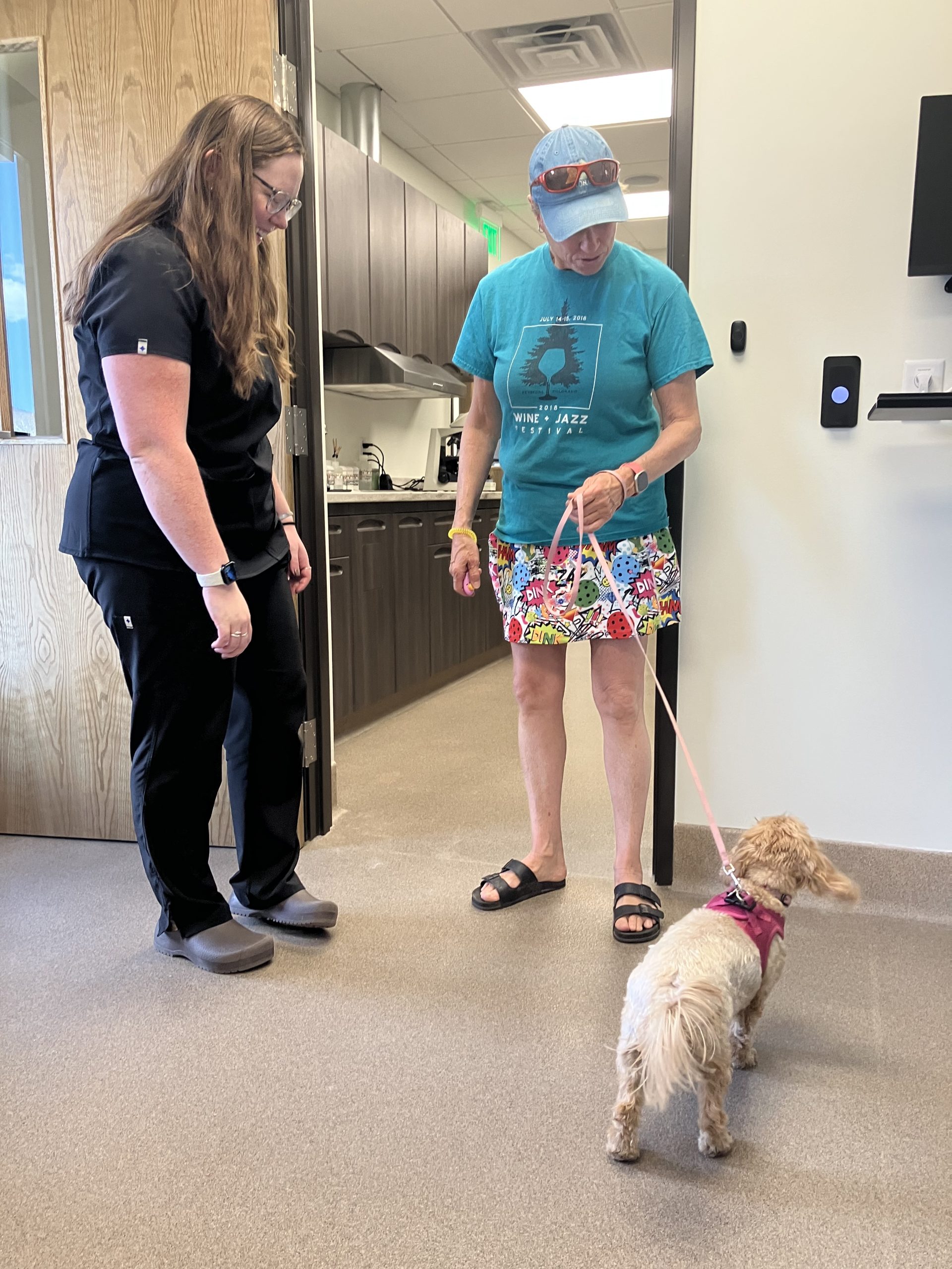 Silverthorne Veterinary Hospital celebrates new facility, which is ...