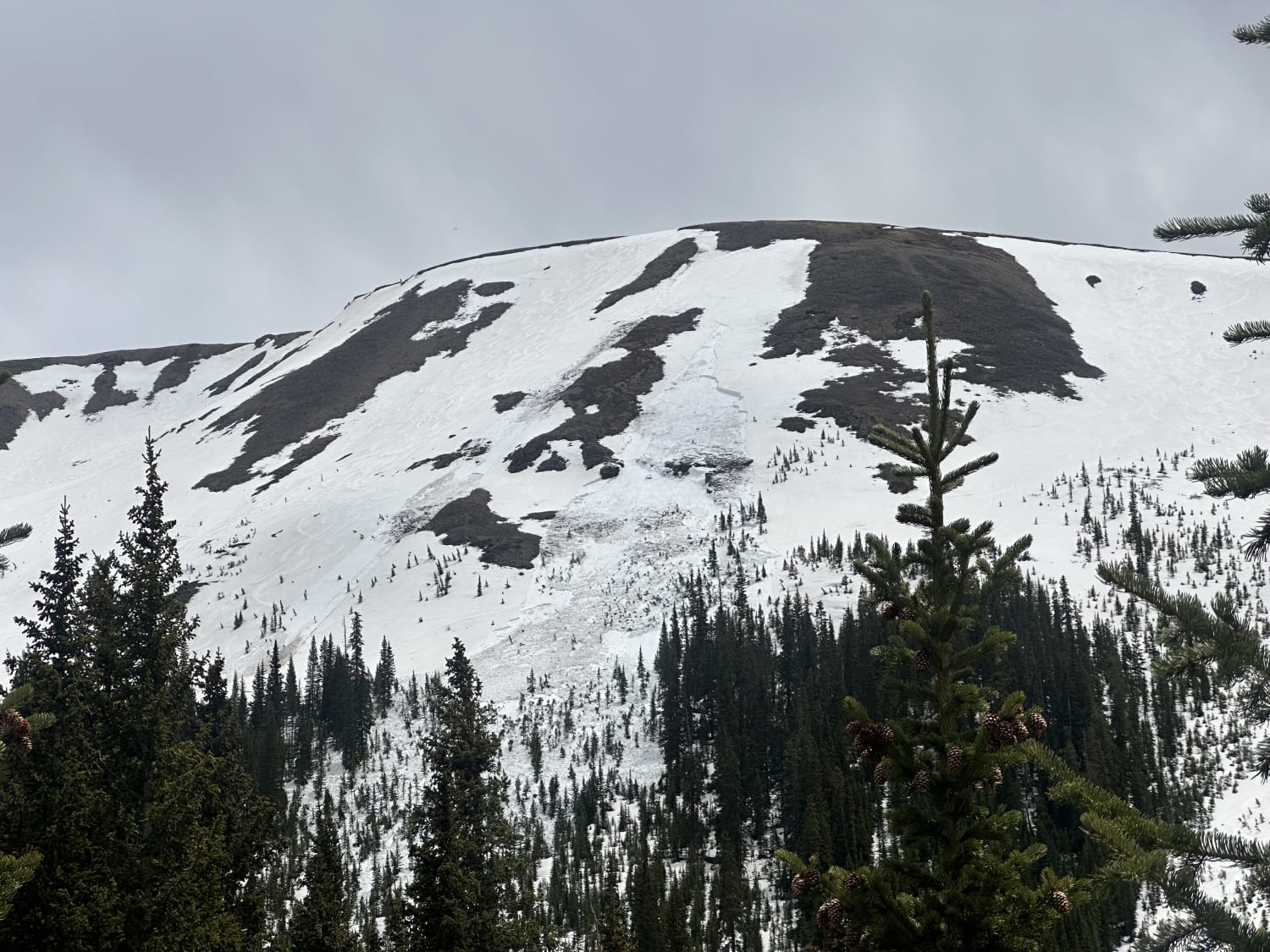 Skier caught in slide near Aspen as Colorado officials warn of ‘moderate’ avalanche danger in ...