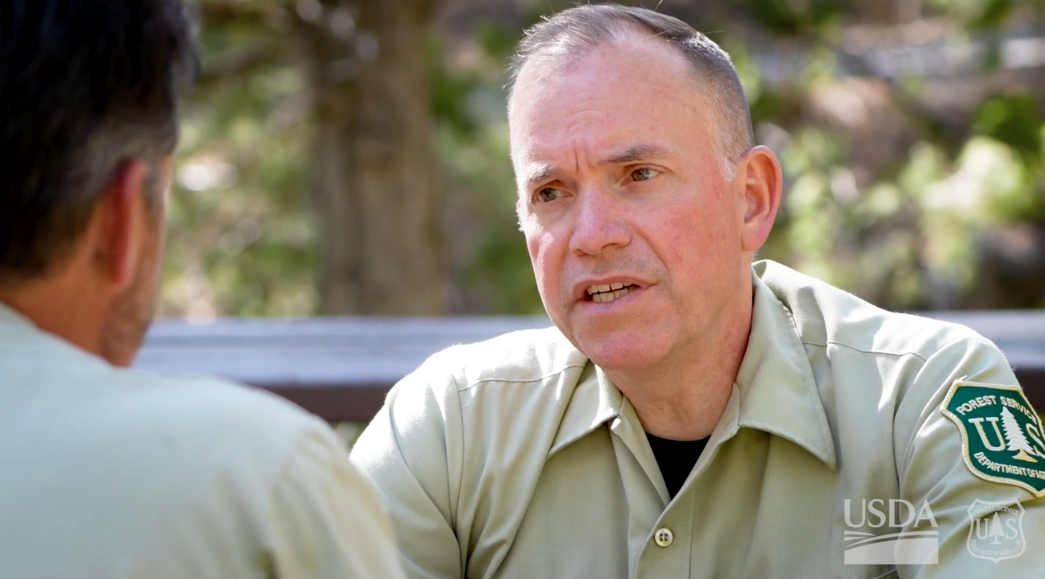 US Forest Service chief asks wildfire employees who took voluntary ...