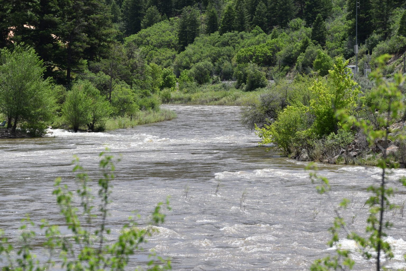 Colorado Parks and Wildlife makes new invasive zebra mussel veliger ...