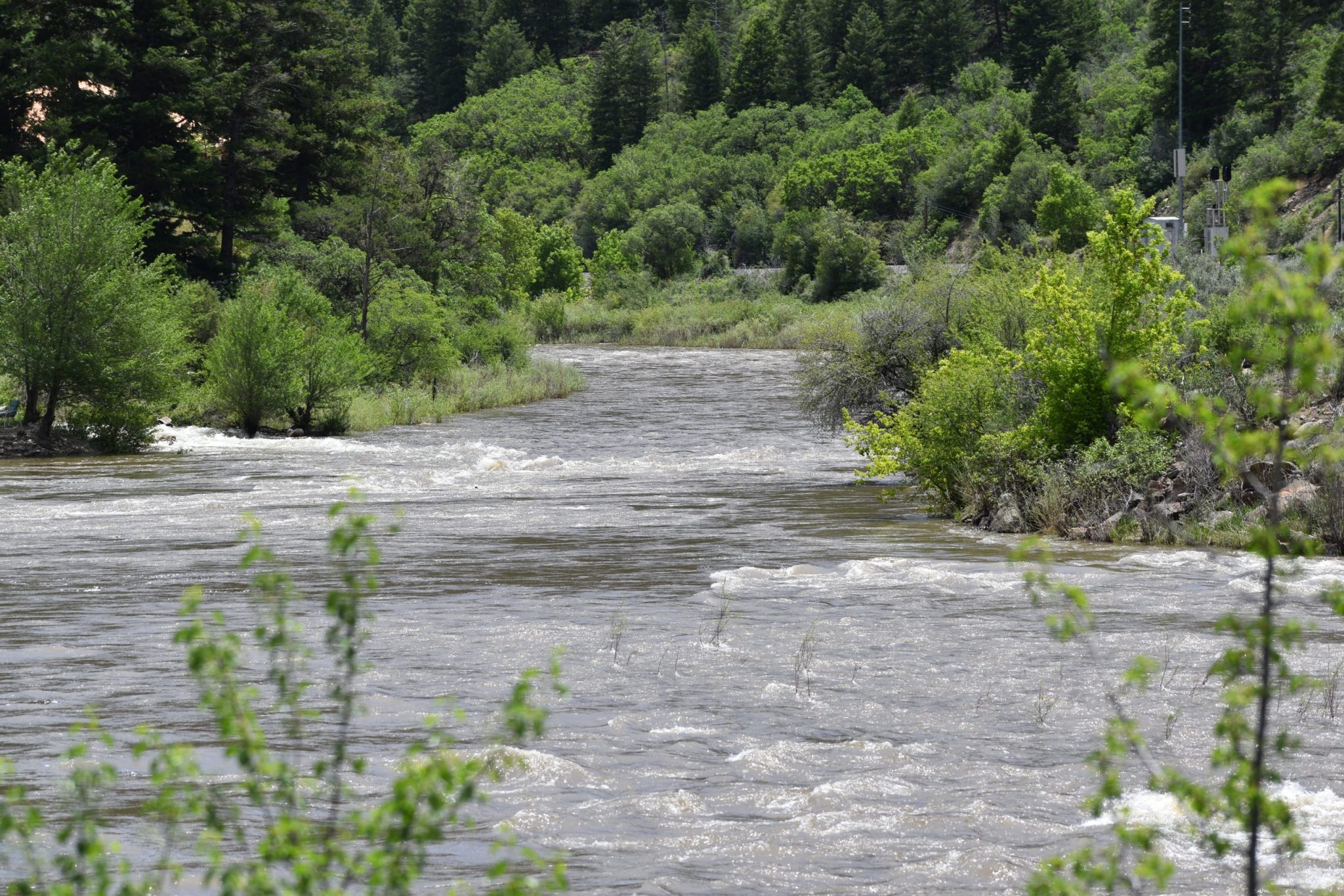 Colorado Parks and Wildlife makes new invasive zebra mussel veliger ...