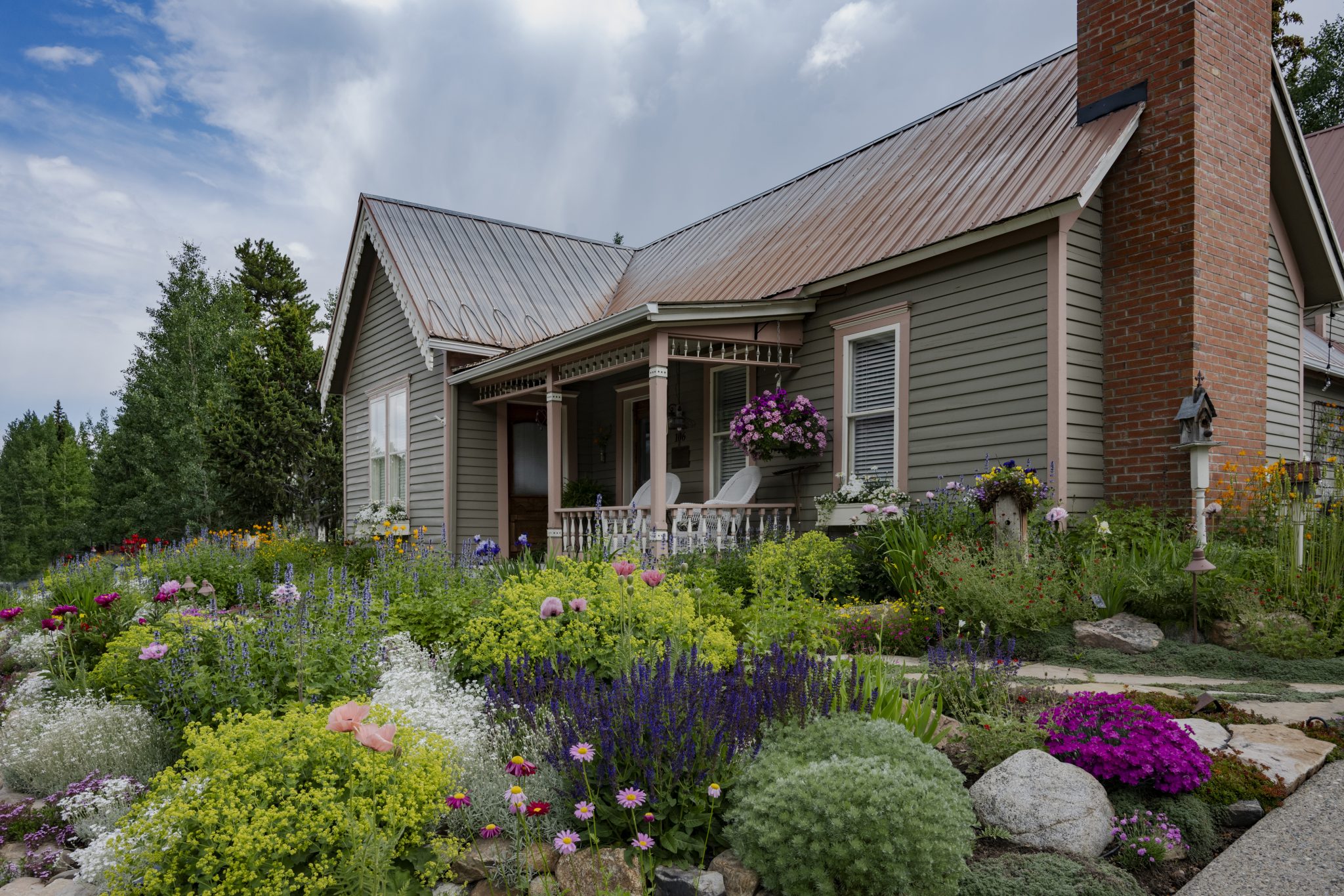 Ask Eartha: What are the best summertime plants for landscaping in ...
