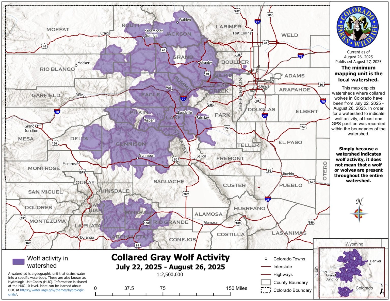 Where Colorado’s collared gray wolves traveled in August | SummitDaily.com