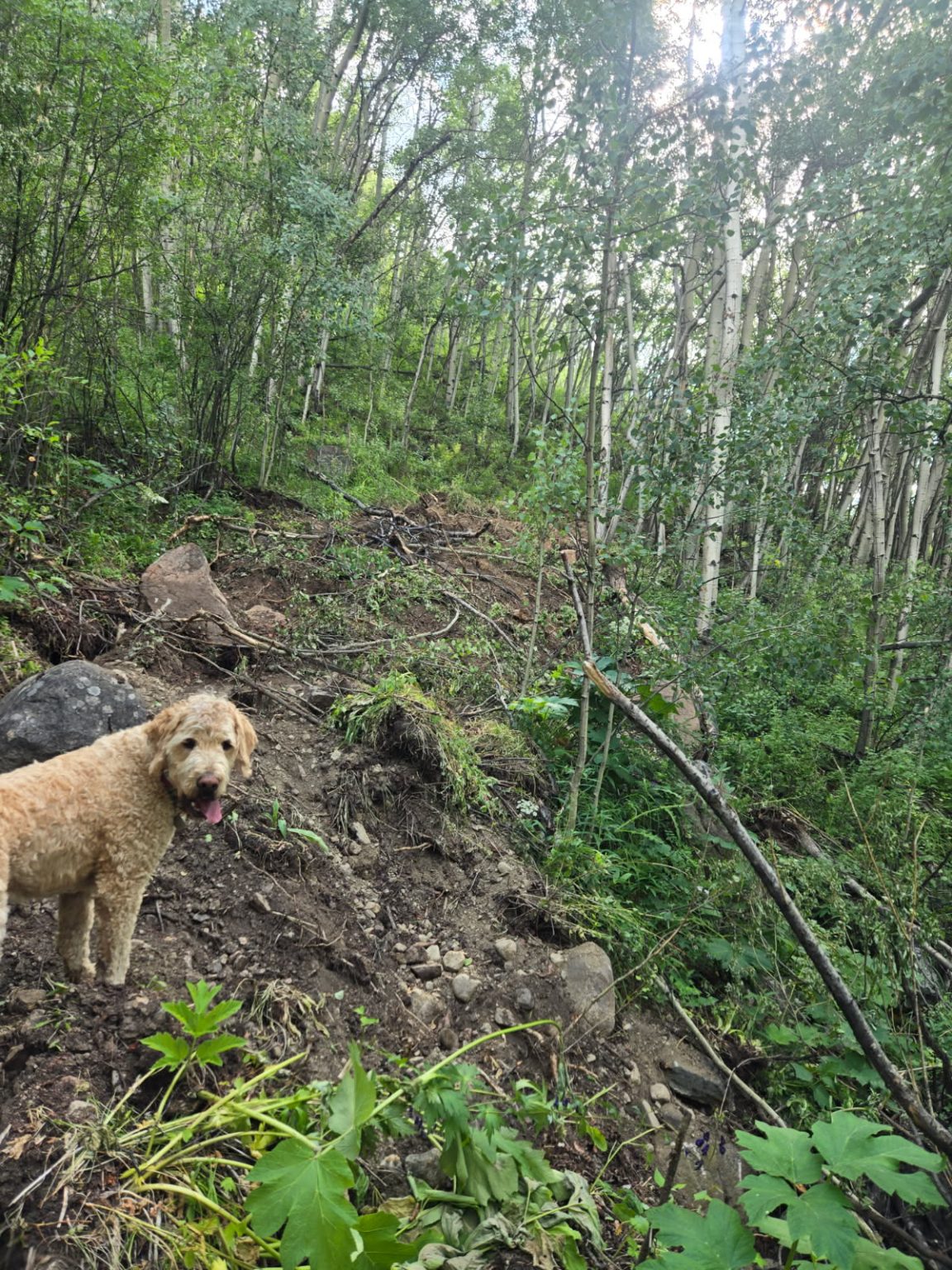 US Forest Service hears concerns about changes to Frog Trail, a popular ...
