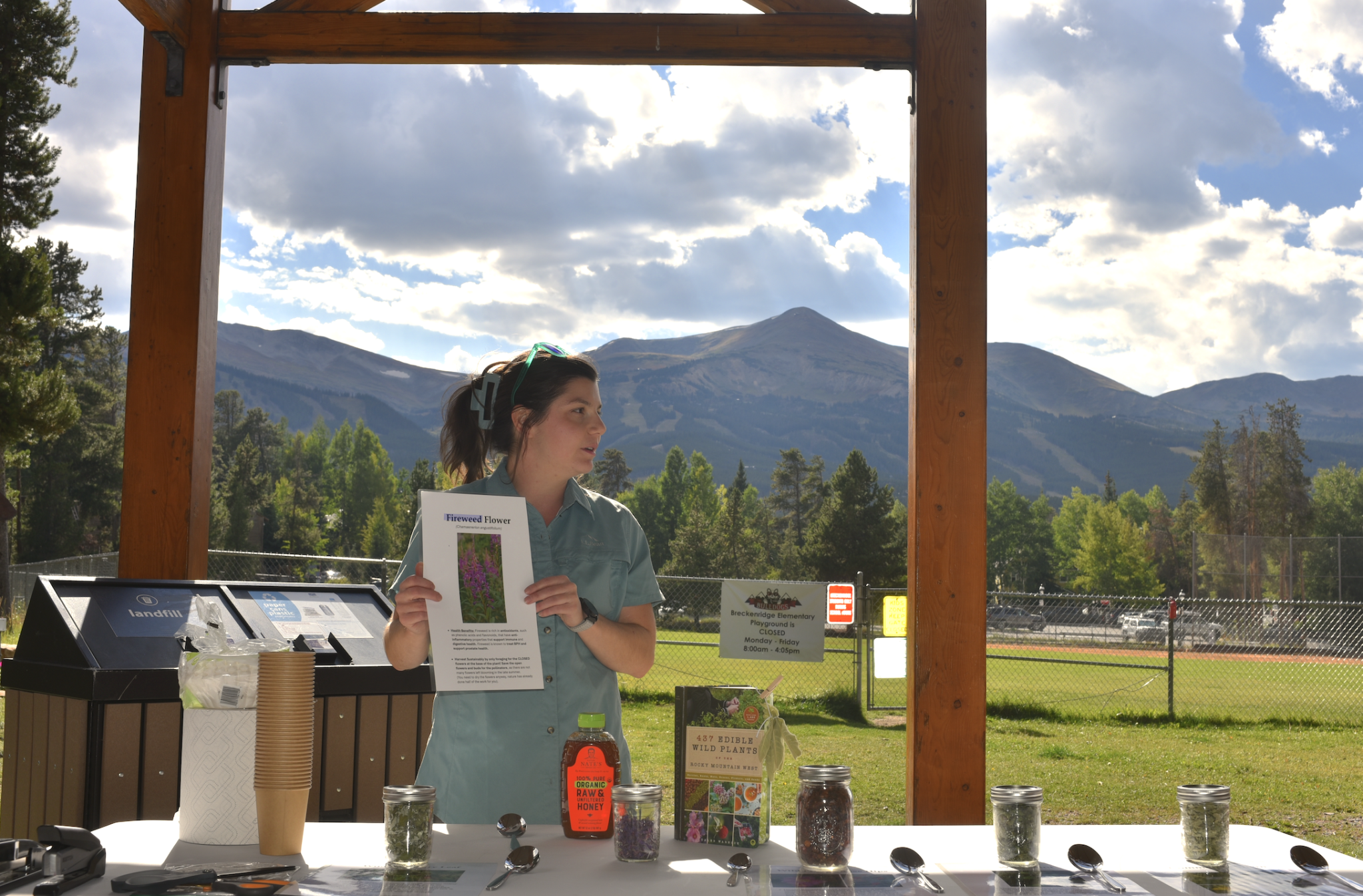 Tea time: Here’s how to ditch grocery store tea for something you can ...