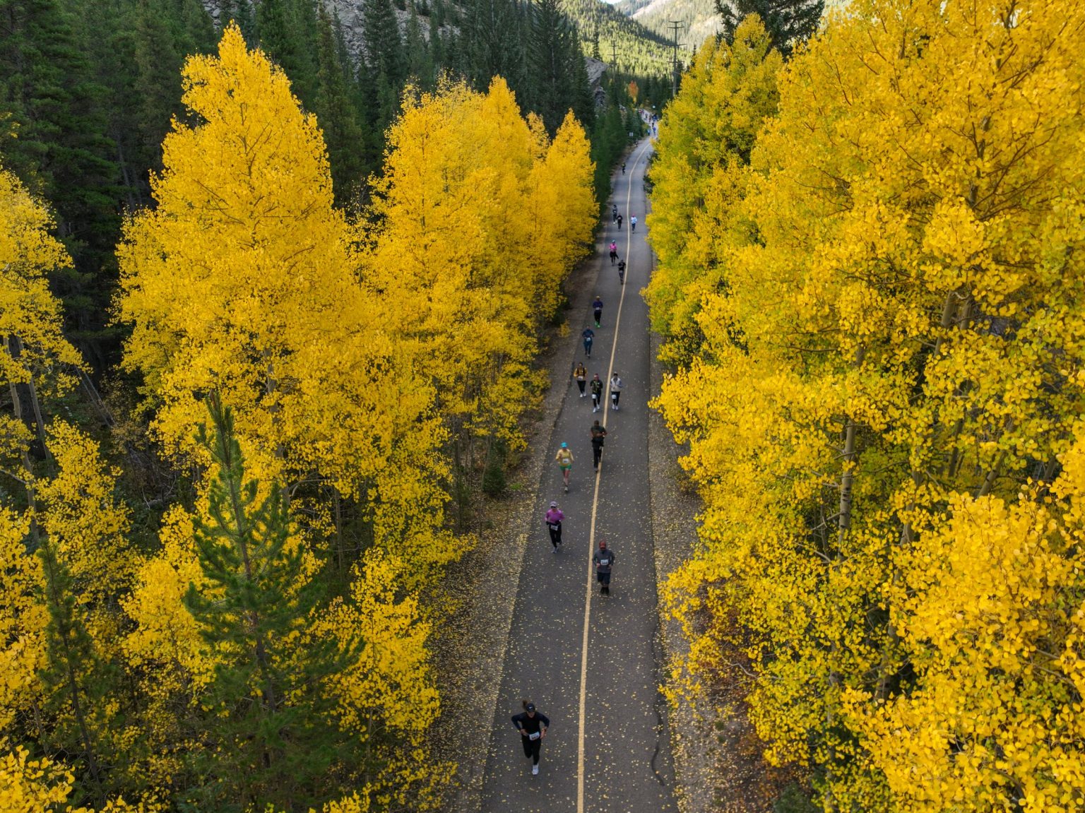Run the Rockies Road 10K and Half Marathon to celebrate 50th year on ...