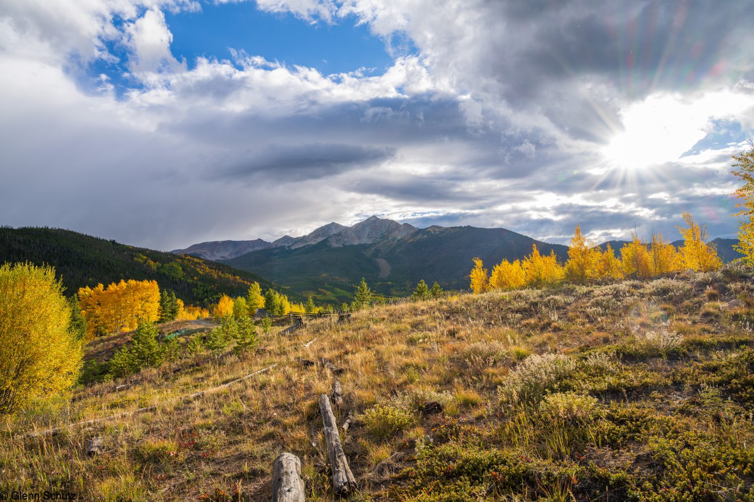 Get Wild: Peak leaf-peeping time is here | SummitDaily.com
