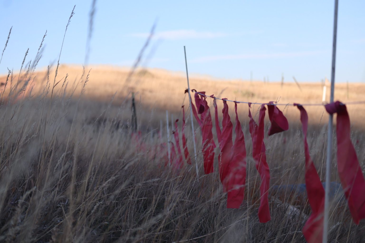 See how Colorado Parks and Wildlife is working to minimize wolf ...
