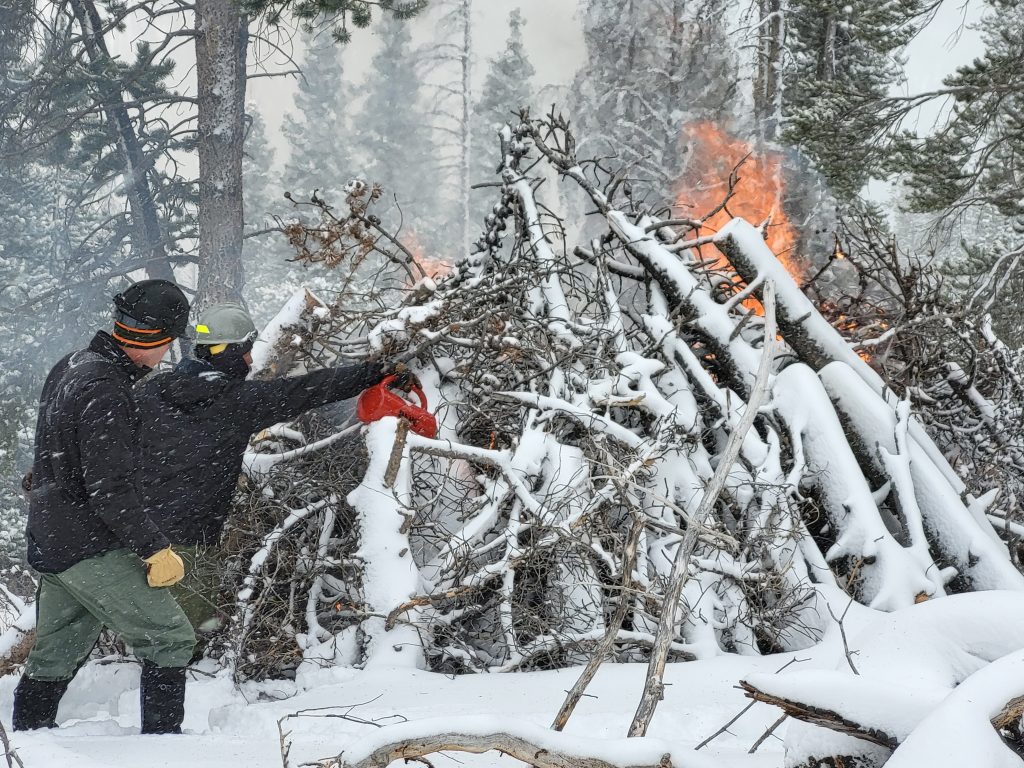 Fire agencies plan controlled burns of slash piles that will begin next ...