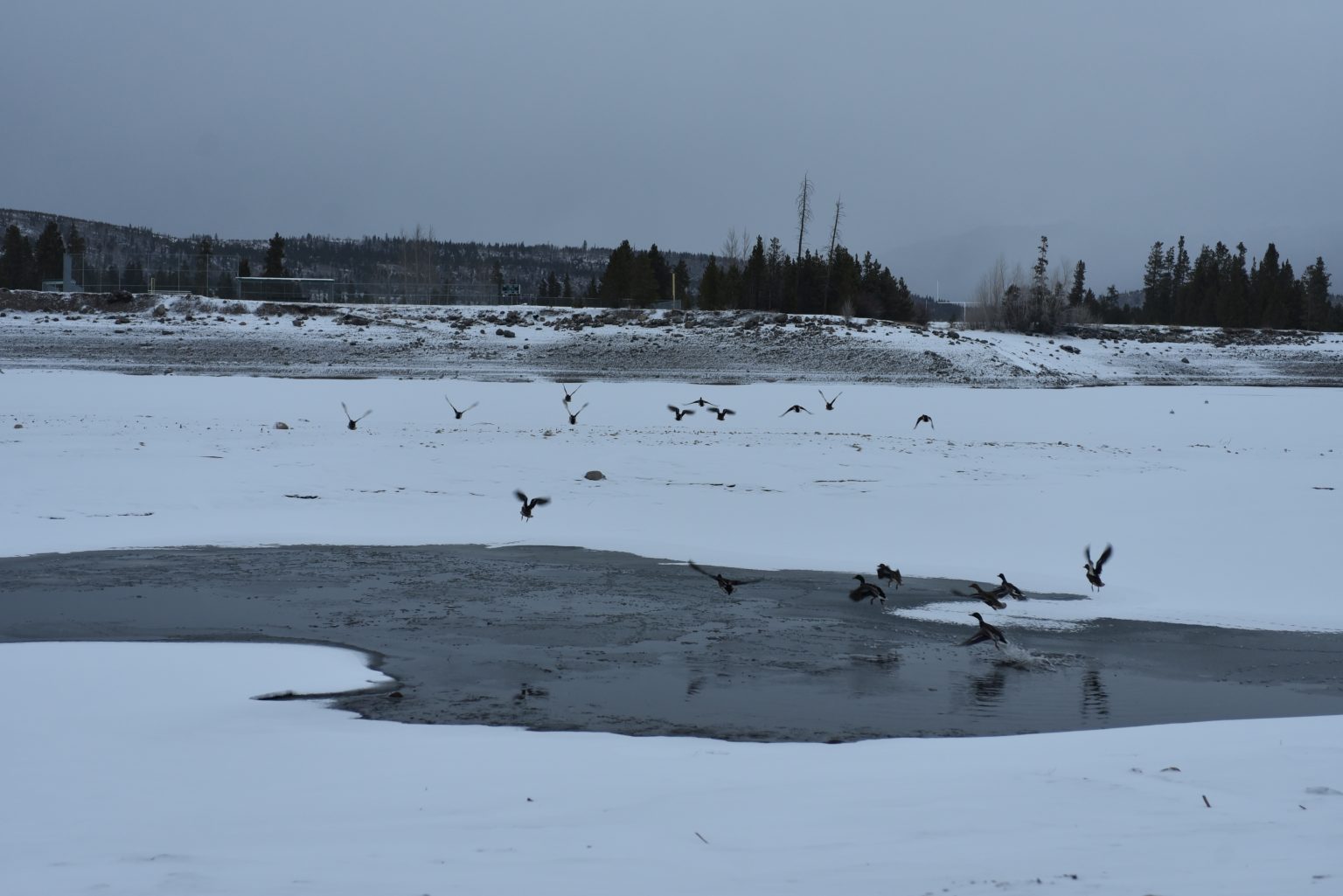 Dillon Reservoir expected to have one of its latest freezes on record ...