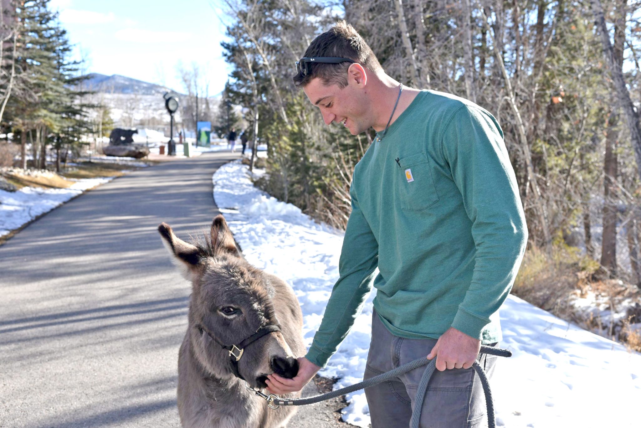 Summit County’s fastest-growing influencer is a donkey | SummitDaily.com