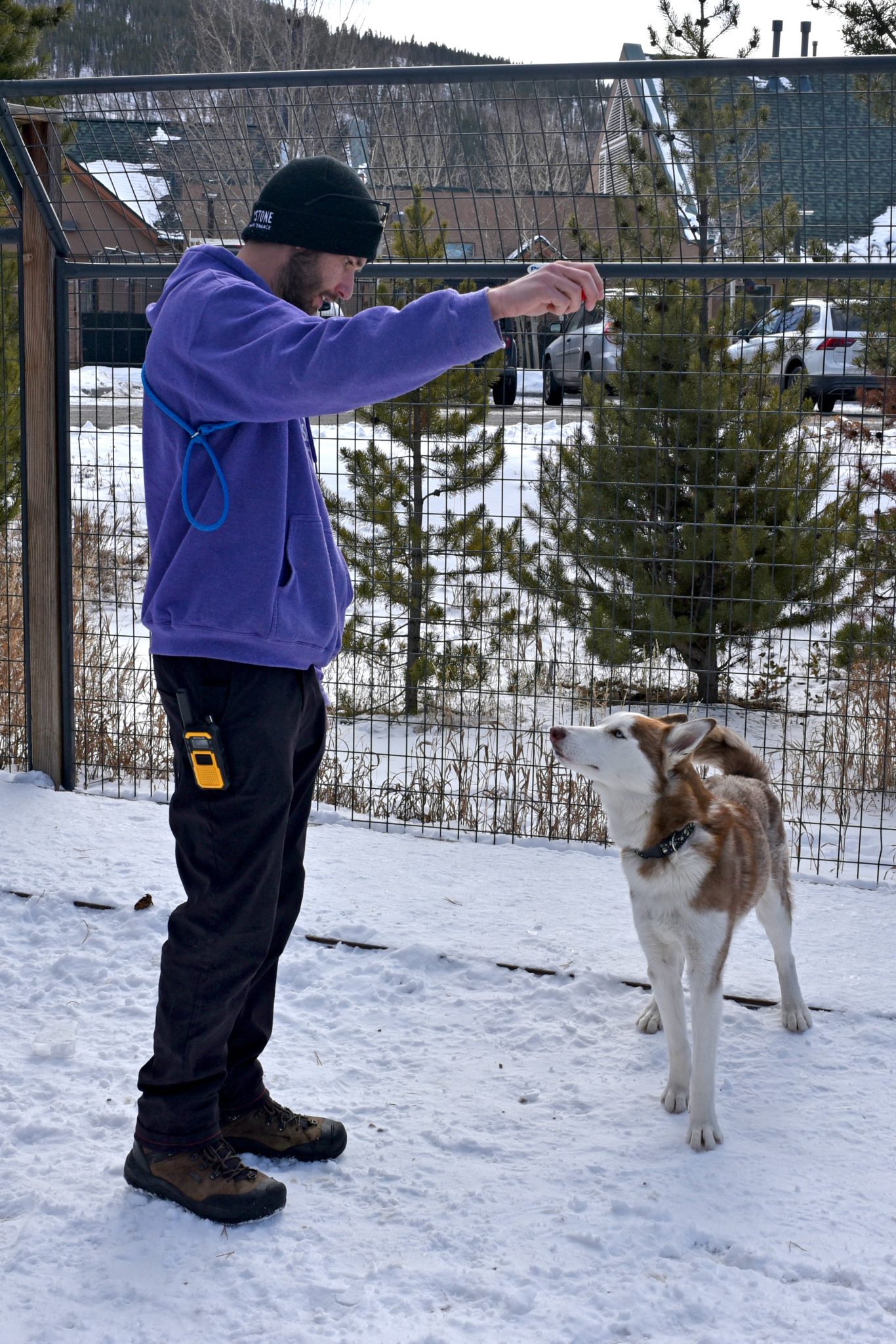 Summit County Animal Shelter mitigated pet surrenders with new tactics ...