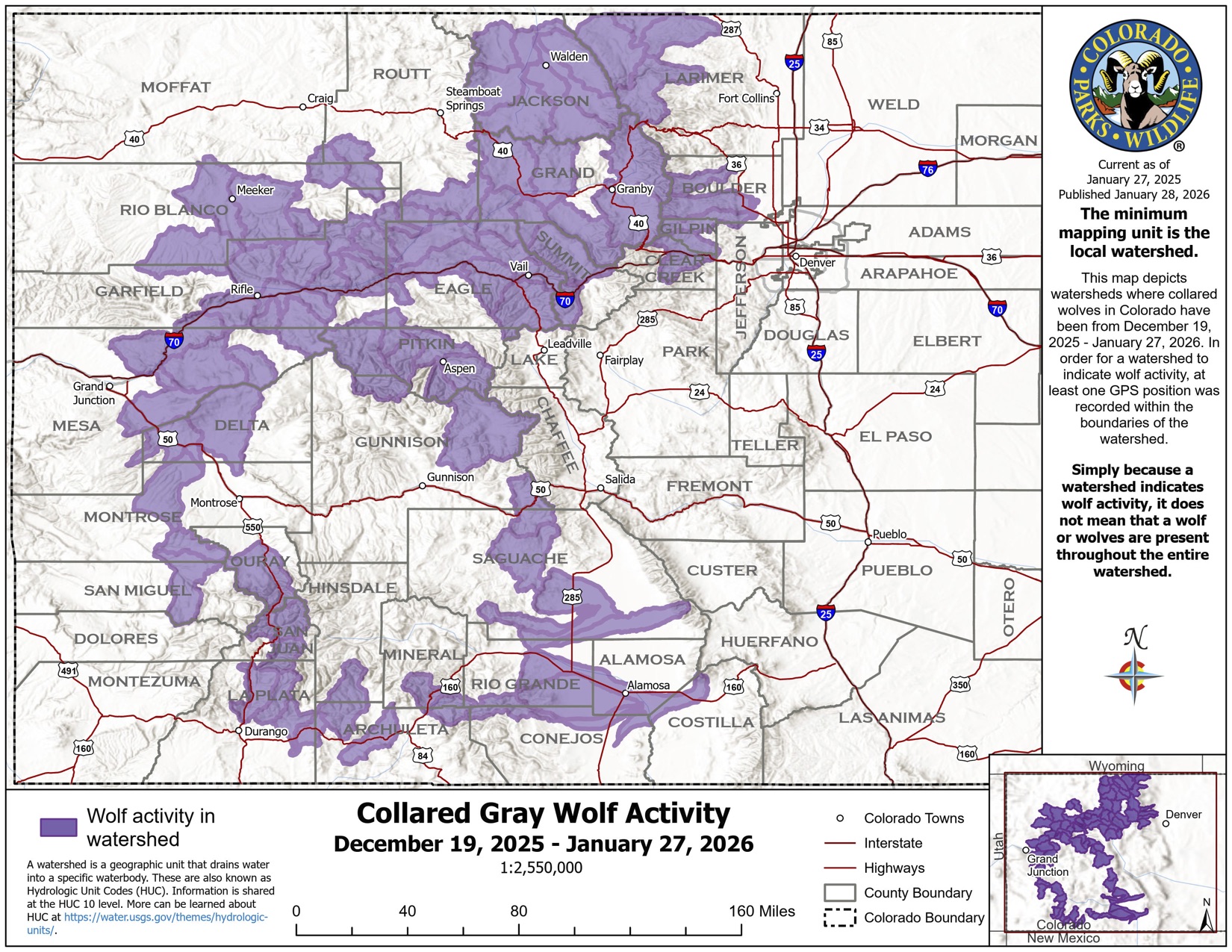 Wolf activity in January includes territorial movements as well as ...