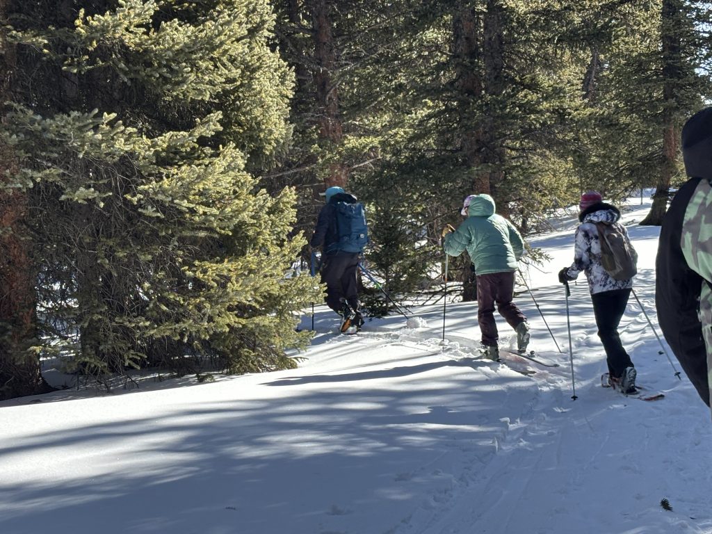 Hidden in high-elevation trees, Colorado’s snow telemetry stations ...