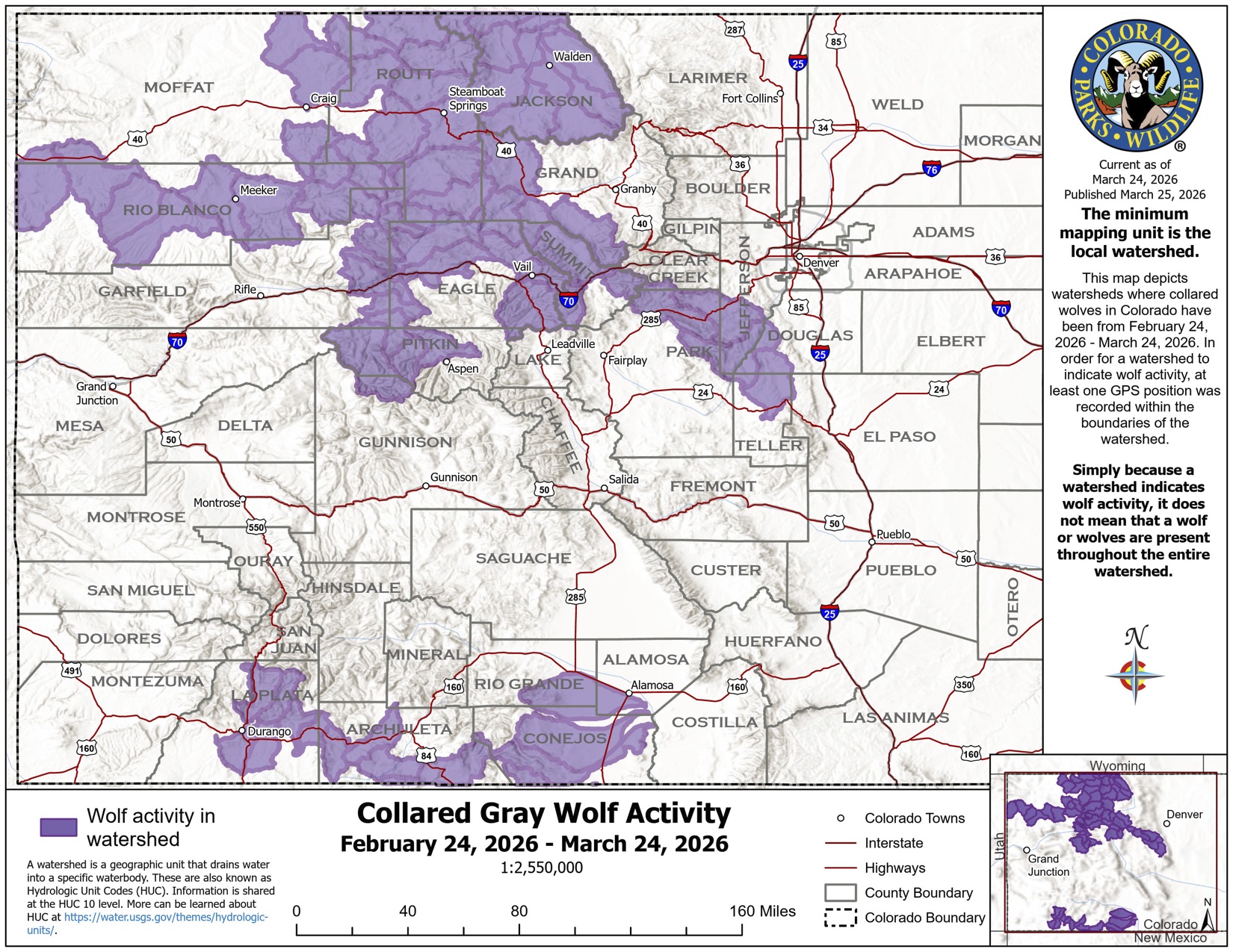 Wolf activity condenses in northwest Colorado as one wolf explores in ...