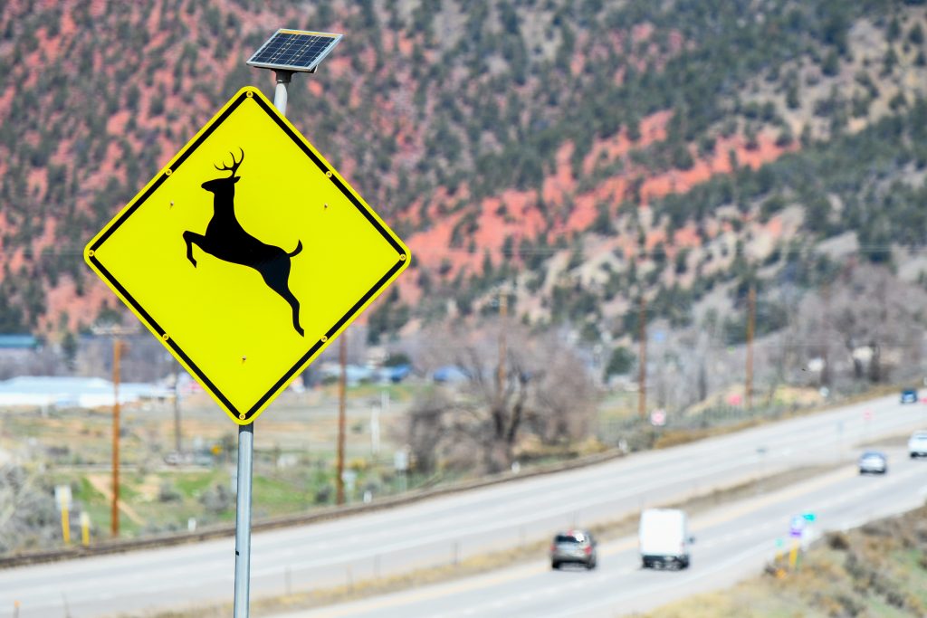 A bill to fund Colorado wildlife crossings clears first hurdles ...