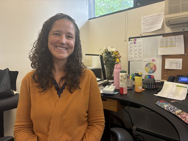 Meet Silverthorne’s new finance director | SummitDaily.com