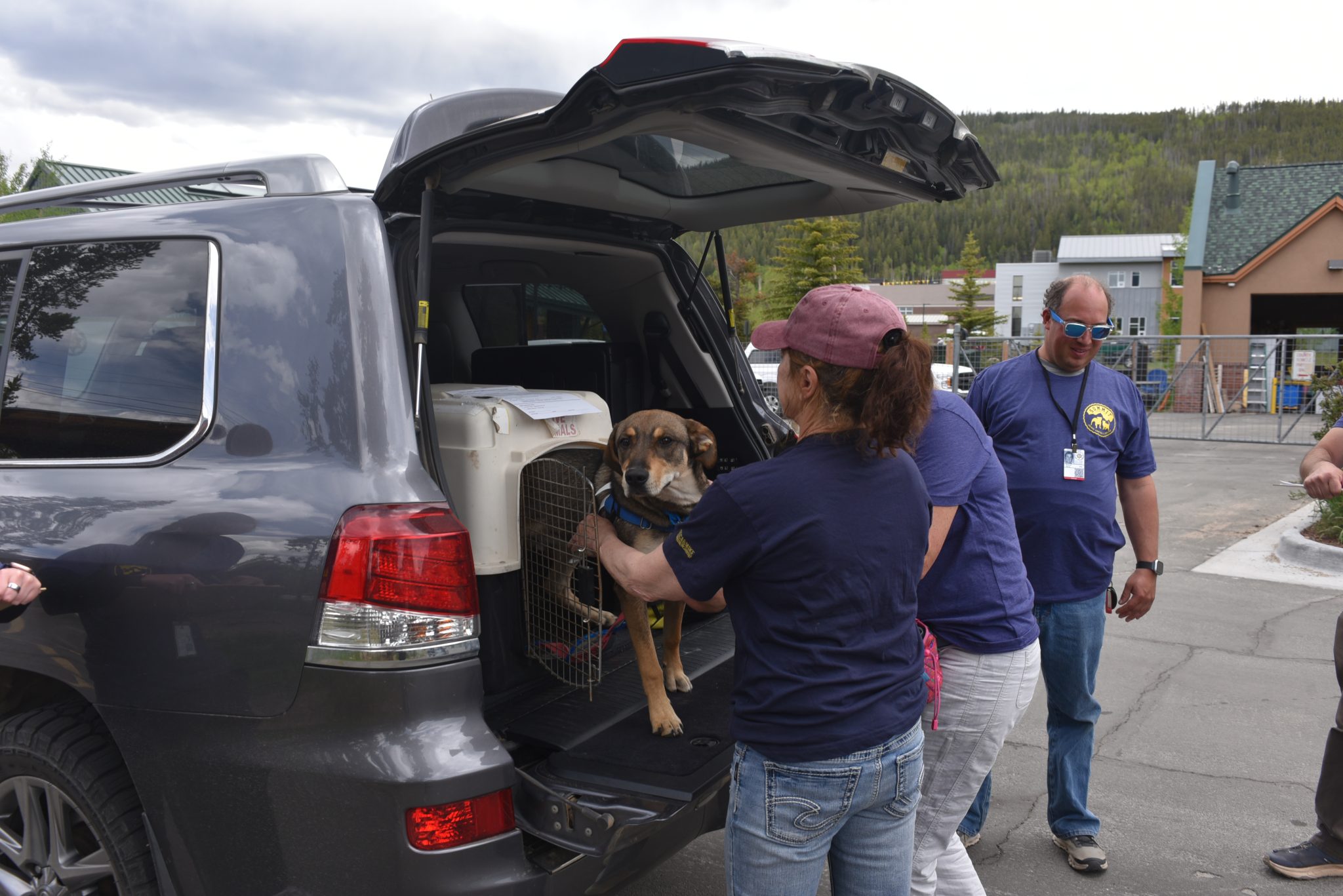 Dozens of Summit County volunteers train to help evacuate animals in ...