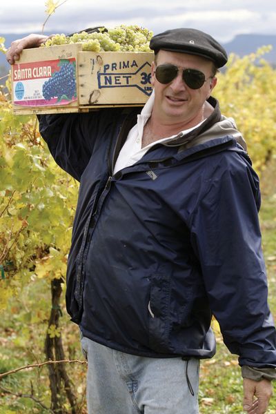Winemaker gambles on 25 tons of grapes | AspenTimes.com