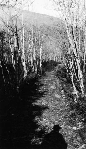 History: Trail building | AspenTimes.com