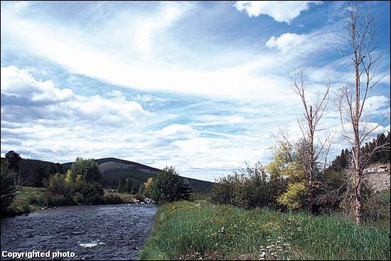 The ‘wild and scenic’ Blue River? | AspenTimes.com