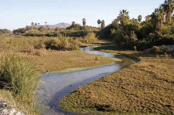 Baja California: An environmental battle in San Jose del Cabo ...