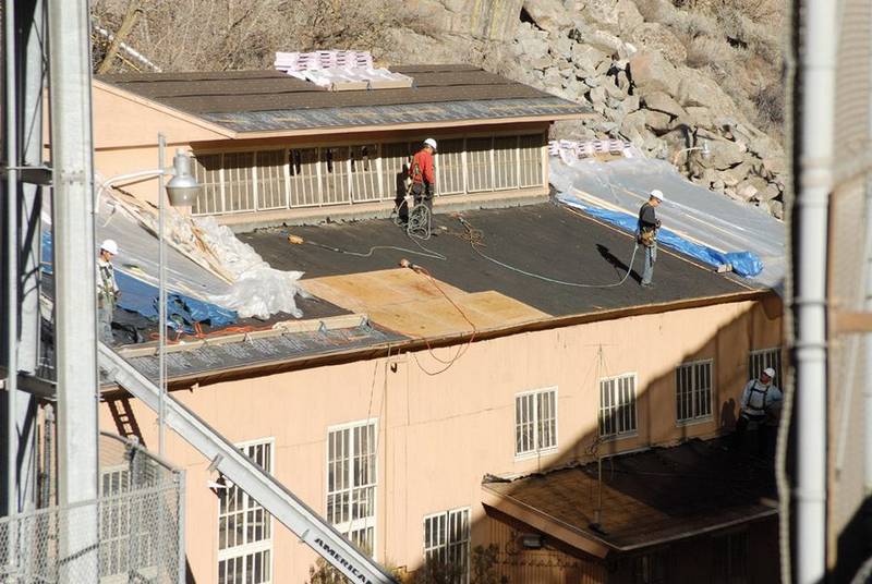 Powerless plant | AspenTimes.com