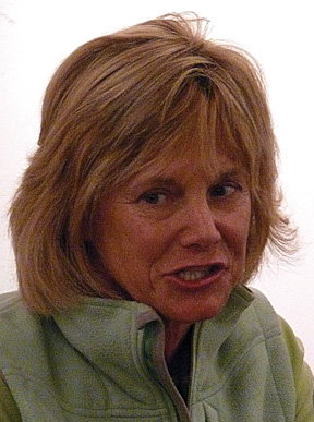 Pitkin County candidate Shellie Roy stung by lawsuit | AspenTimes.com