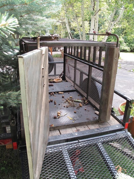 Aspen woman falls victim to bear attack | AspenTimes.com