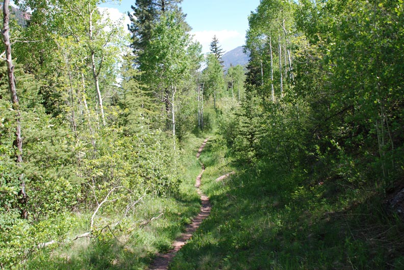 On the trail: Redstone secret | AspenTimes.com