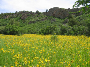 Hike to a Hidden Gem | AspenTimes.com