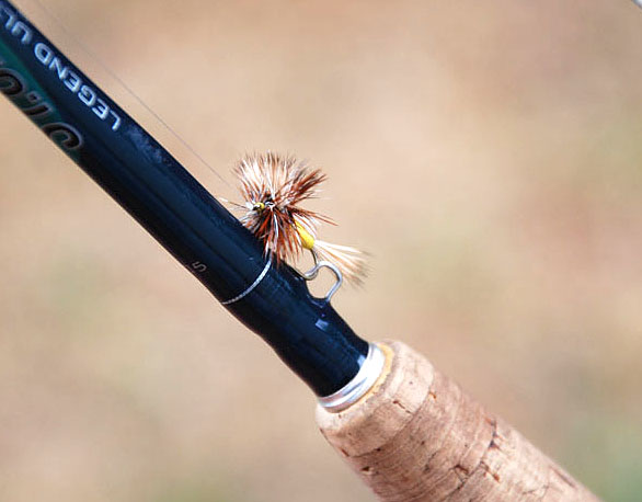 On the fly: The Wonder Fly | AspenTimes.com