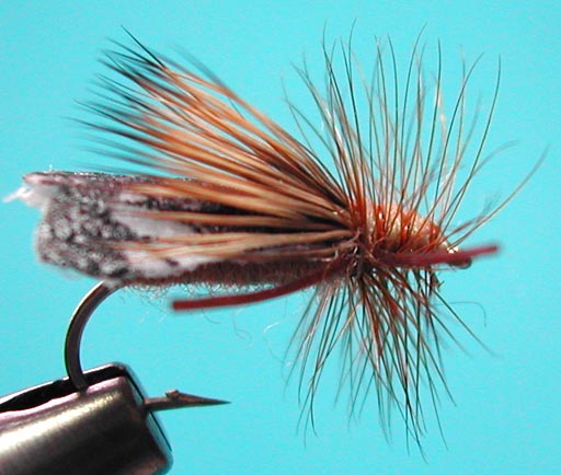 On the fly: Talkin’ caddis | AspenTimes.com