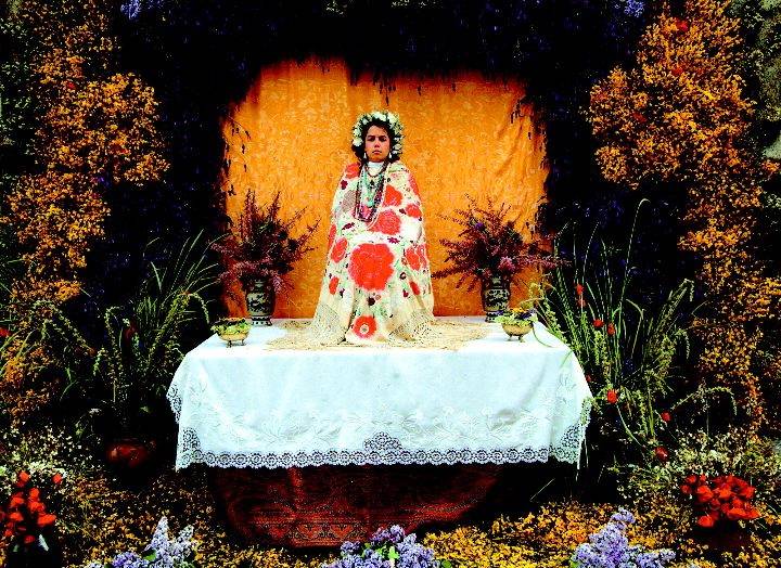 La Maya | AspenTimes.com