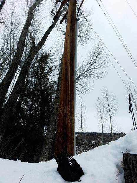 Raven on power line causes outage in downtown Aspen | AspenTimes.com