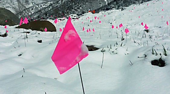 Pitkin County has no plans to clean up poop on Aspen Smuggler Mountain ...