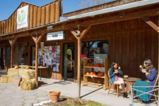 Carbondale’s Dandelion Market saved at 11th hour, moving locations ...