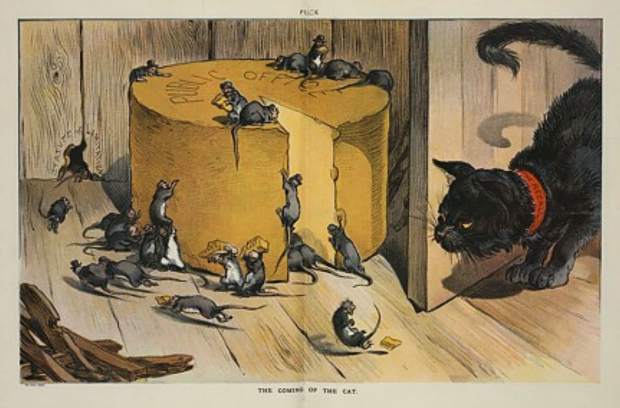 Tim Willoughby: The tale of an acrobatic rat and a miner’s misplaced ...