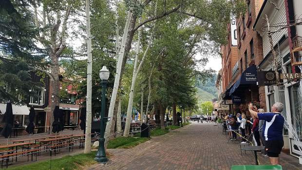 Bears pulled from tree in downtown Aspen’s pedestrian mall | AspenTimes.com