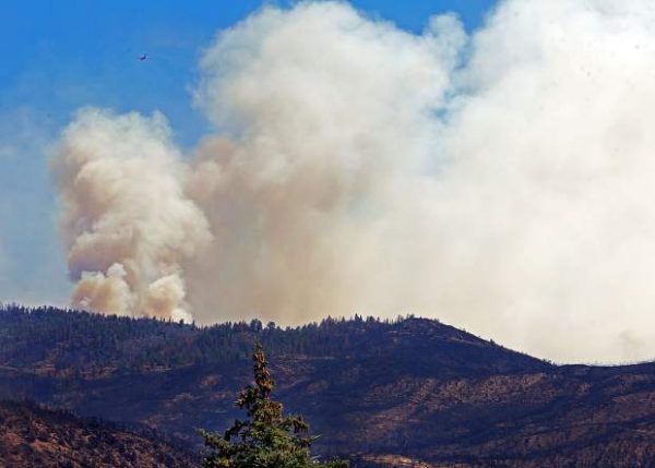 Lake Christine Fire grows nearly 800 acres, type 2 incident management ...
