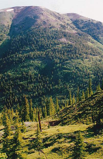 Willoughby: Ashcroft’s mini mineral lode | AspenTimes.com